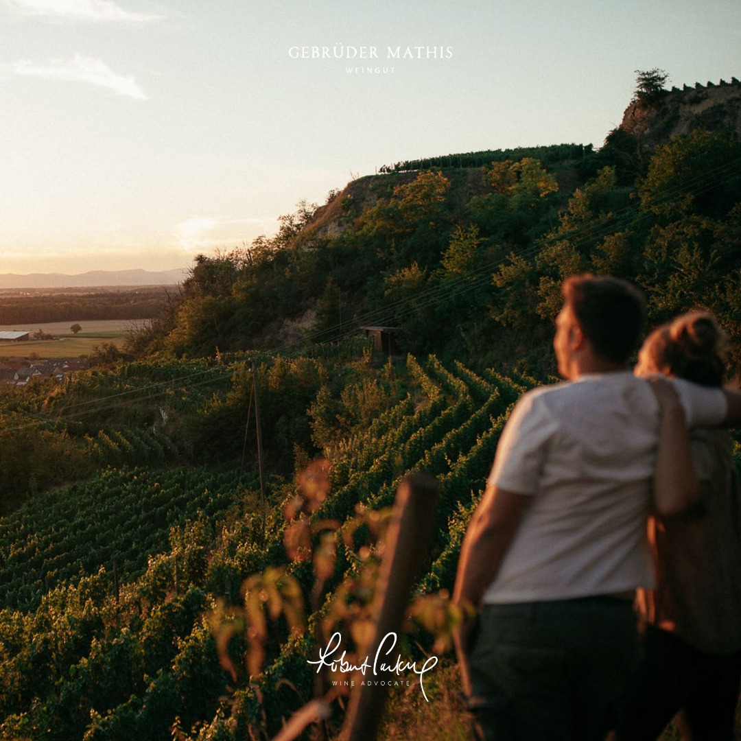 ヴァイングート ゲブリューダー・マティス (Weingut Gebrüder Mathis)